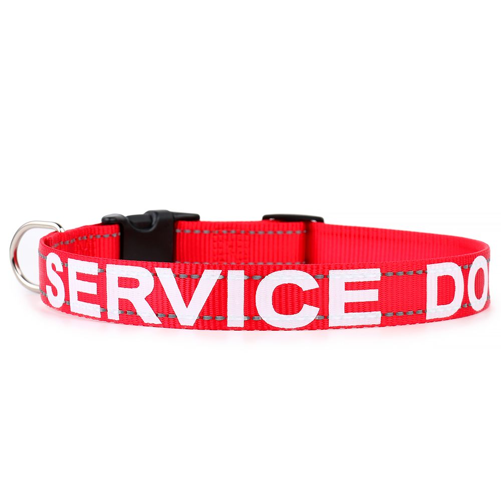 Service Dog Collar USA Service Dogs